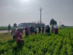 Welcome To Thakran Dhani